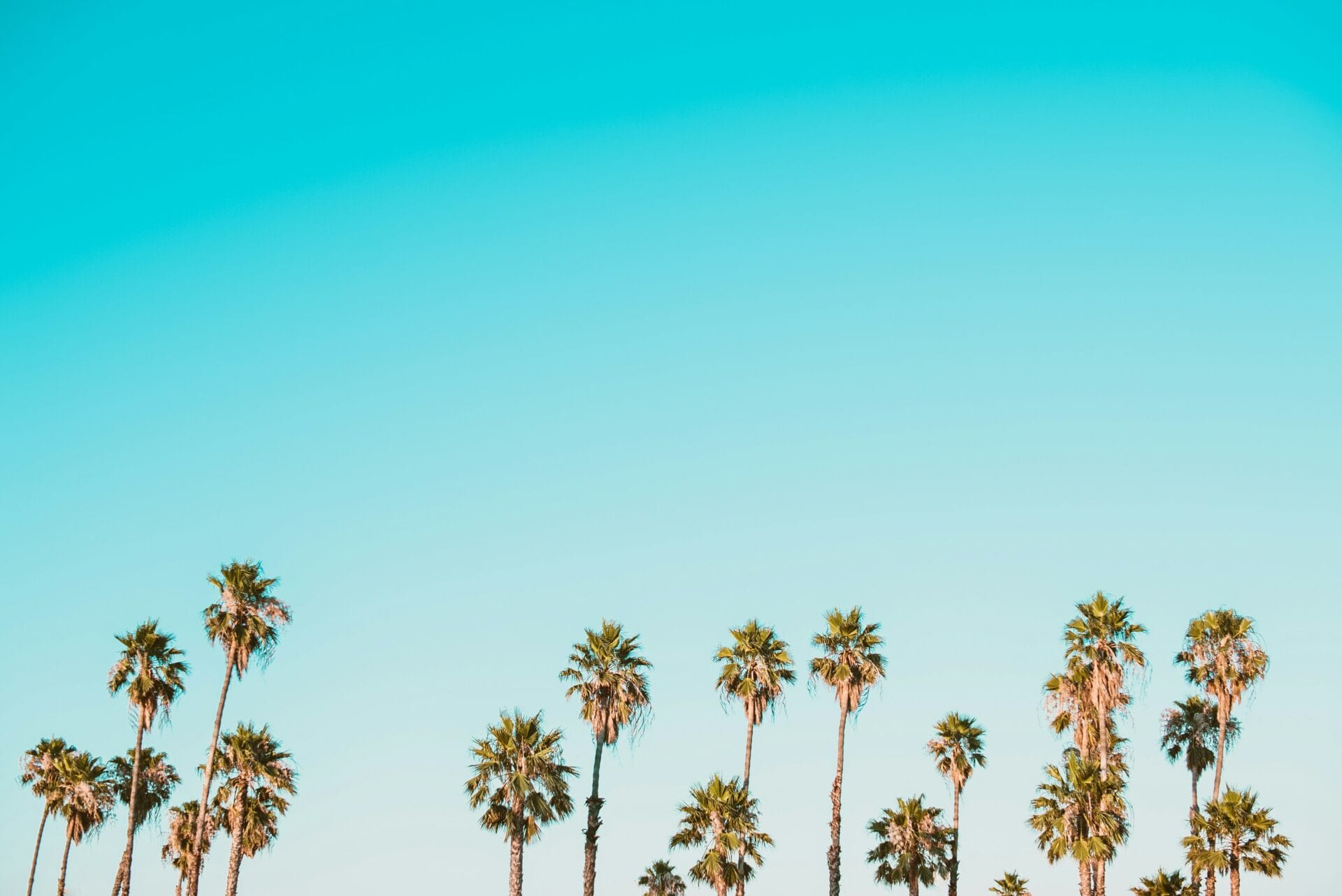 What are the Requirements for Serving on Your HOA Board in Florida ...